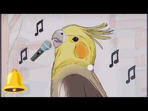 корелла учим \