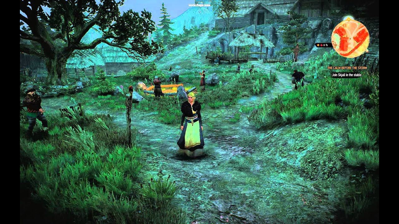 The Witcher 3: Wild Hunt - Confused NPC - YouTube