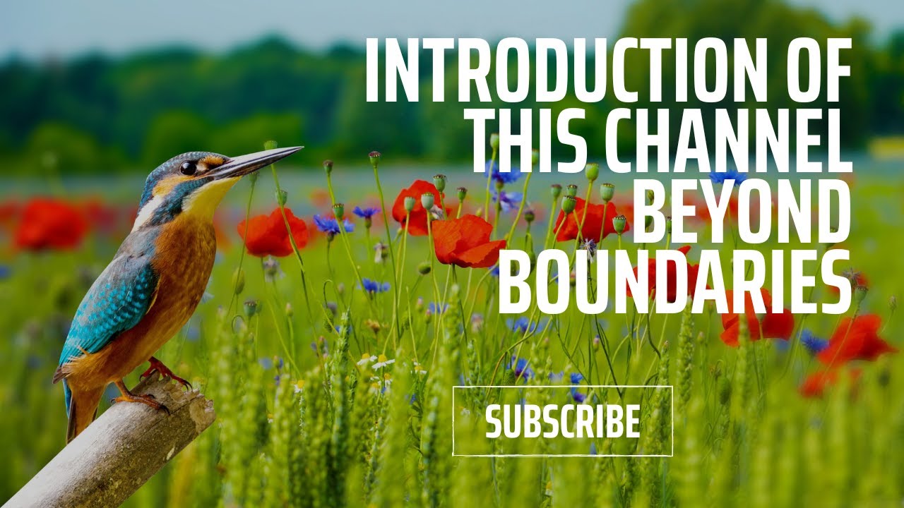 Introduction Of This Channel! Beyond Boundries - YouTube
