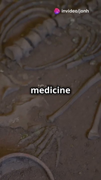 Stone Age Scientist Ötzi (3350-3100 BC) #history #historychannel #facts ...