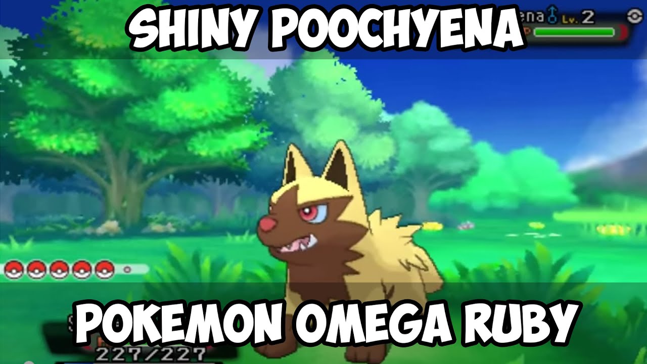 SHINY POOCHYENA AFTER 1 DEXNAV ENCOUNTER - (Pokemon Omega Ruby/Alpha ...