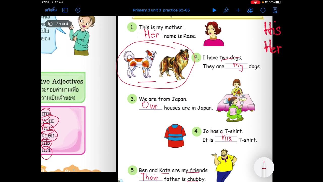 Unit 3 Whose purse is it? Practice on page 62-65 - YouTube