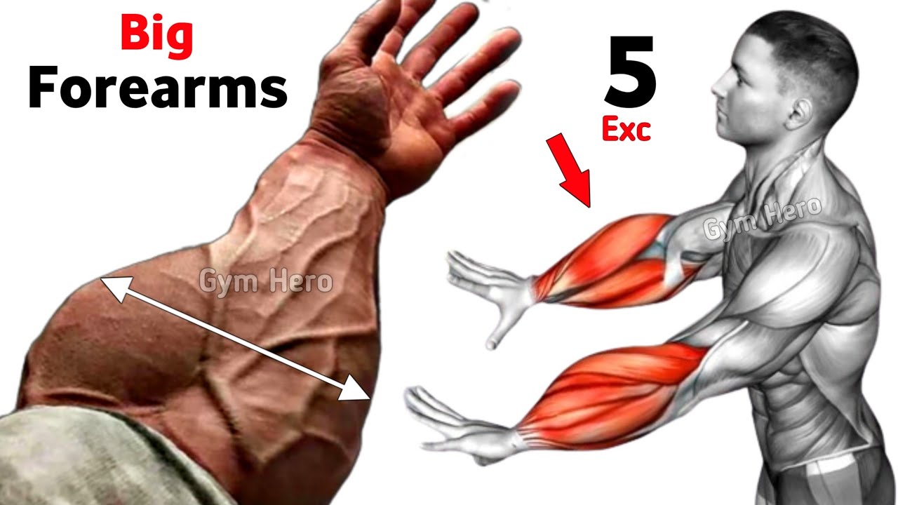 5 Best Exercises for Bigger Forearms At Gym - YouTube