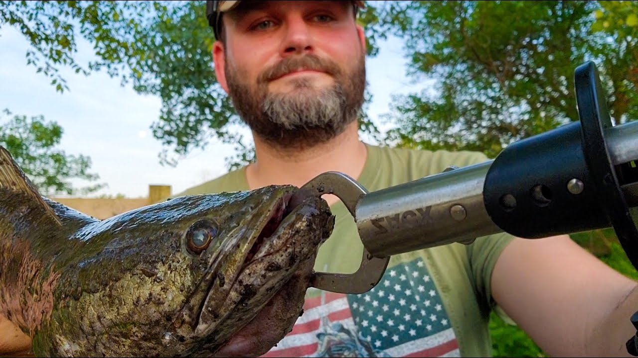 The Weirdest Northern Snakehead Catch I've Ever Had - PA Northern ...