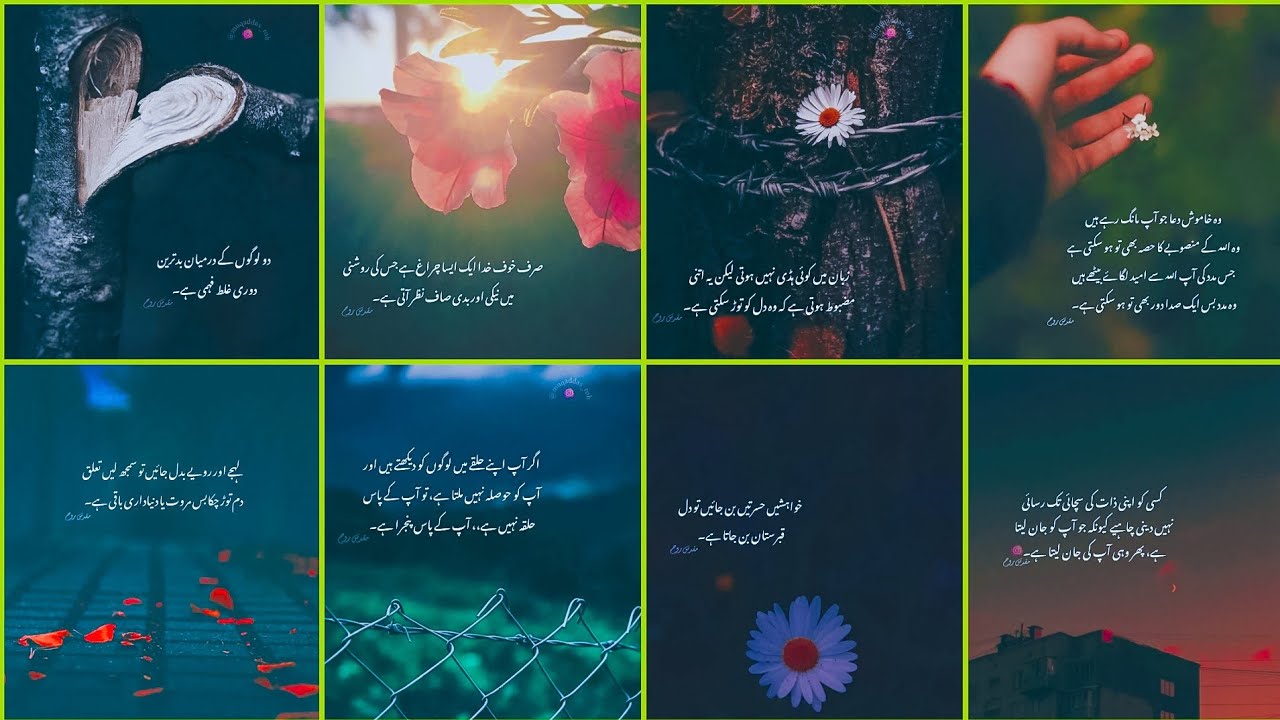 Life and struggles qoutes | best line for life - YouTube