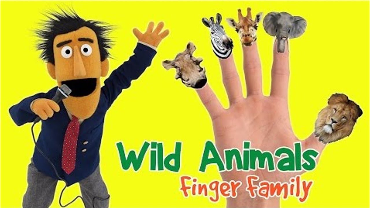 Wild Animals | Wild Animals Finger Family | Kids Learn Wild Animal Name ...