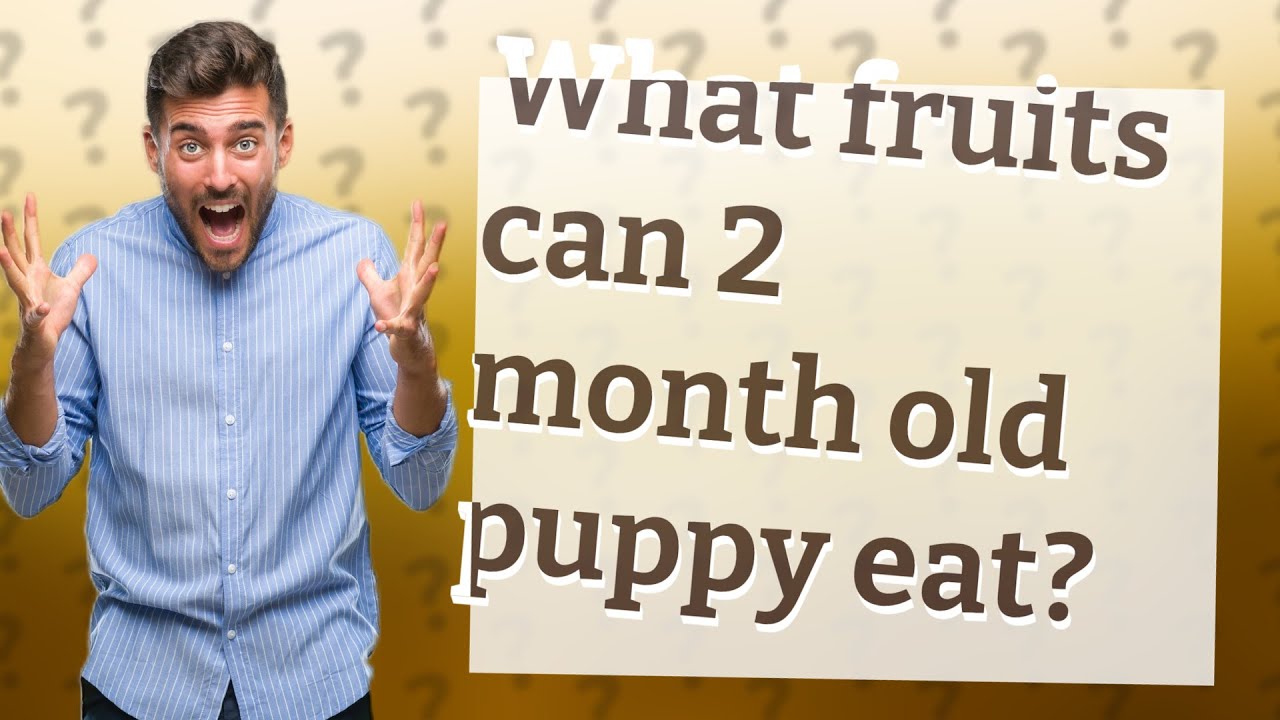 What Fruits Can 2 Month Old Puppy Eat YouTube what-fruits-can-2-month-old-puppy-eat-youtube