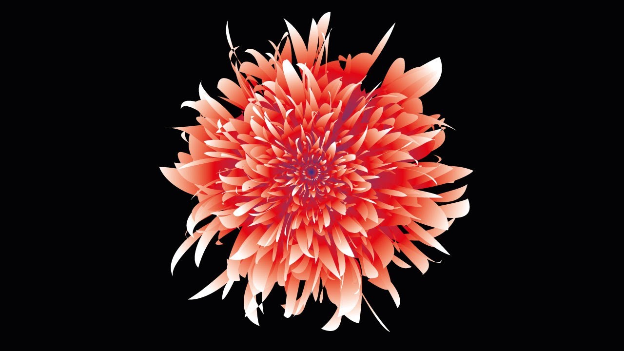Easy and Realistic flower illustration tutorial using Adobe Illustrator ...