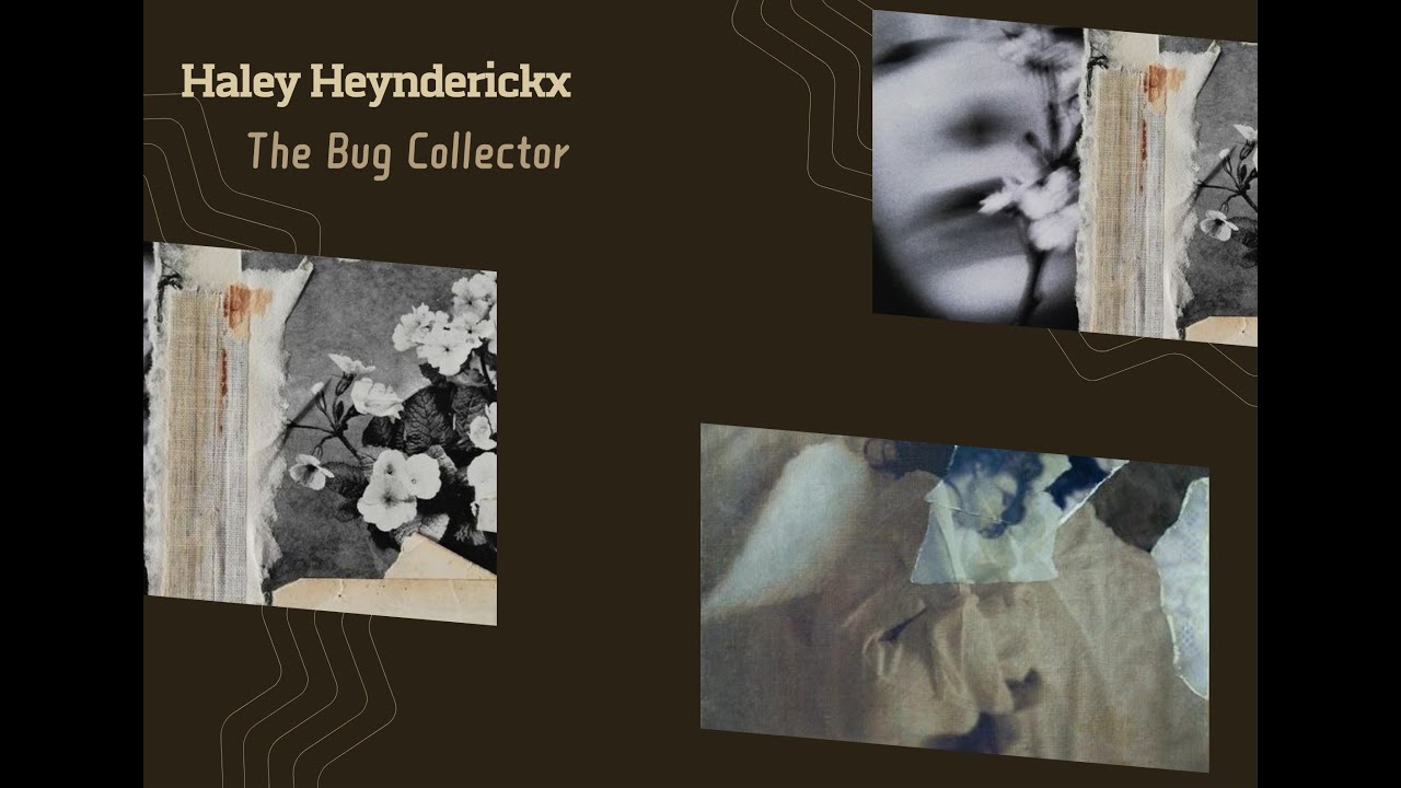 Haley Heynderickx - The Bug Collector [Vietsub] - YouTube