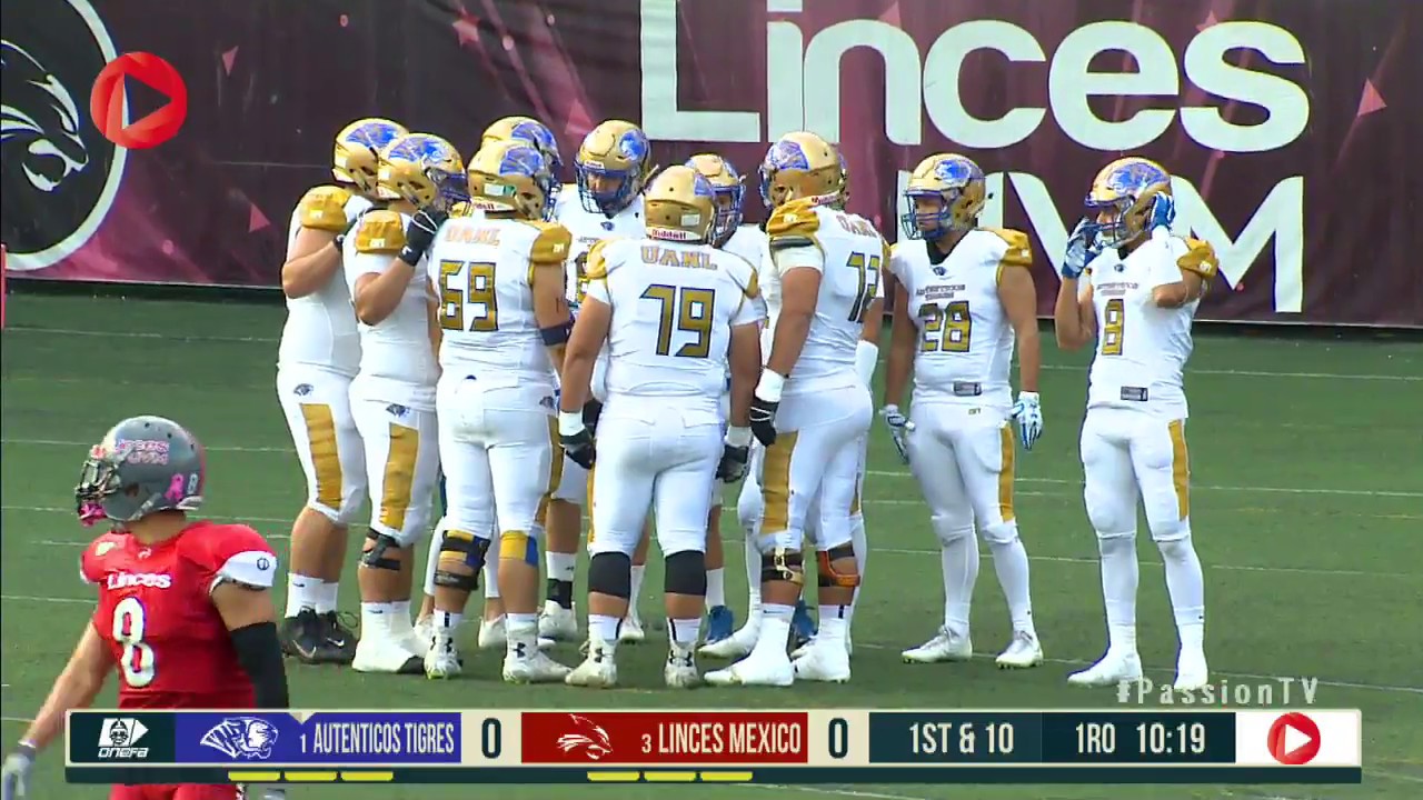 PARTIDO COMPLETO Linces UVM México vs Autenticos Tigres UANL Liga Mayor ...