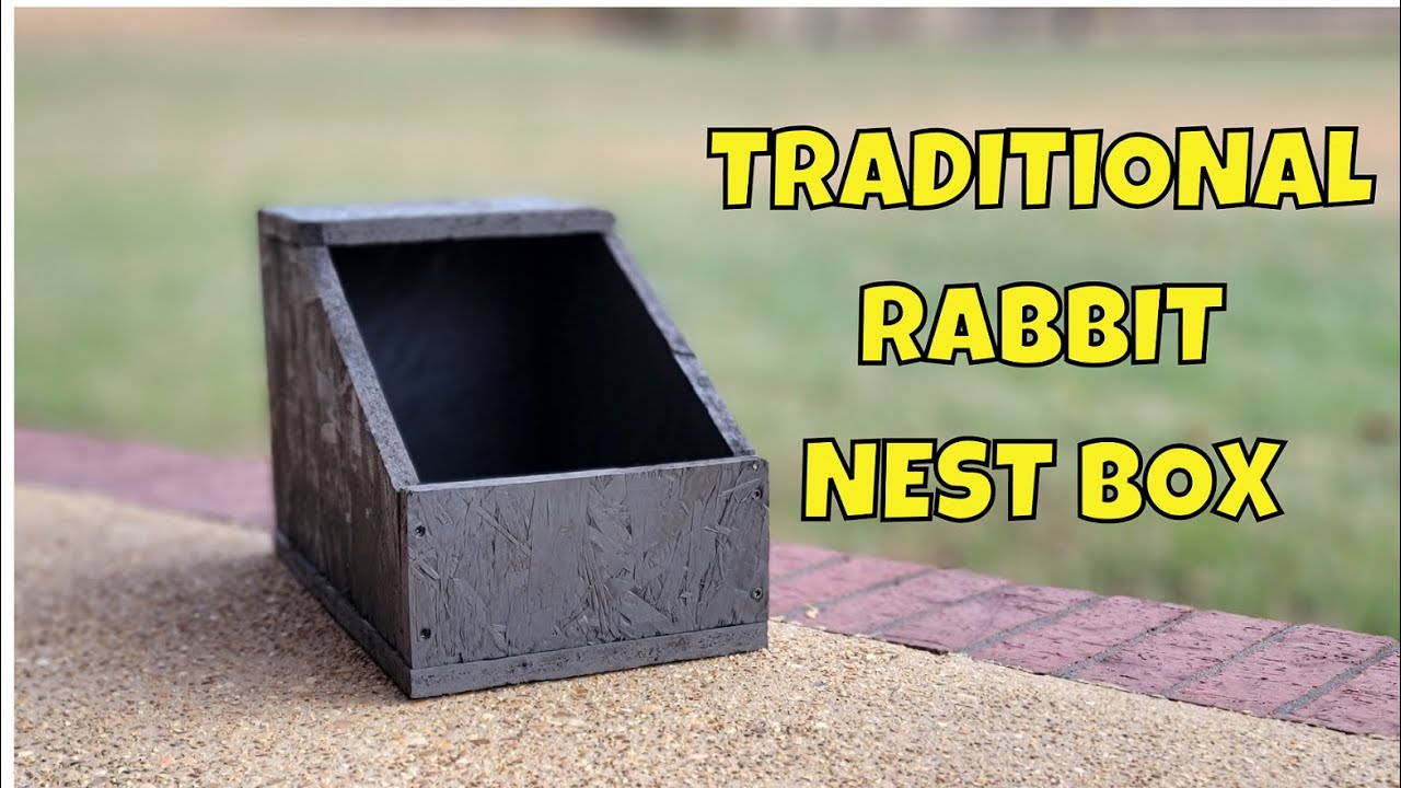 How to Make a Cold Weather Rabbit Nest Box with Plans | Rabbitry - YouTube