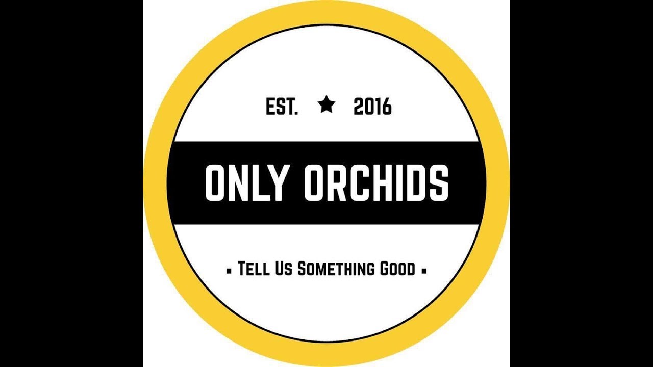 Only Orchids Charity Spotlight - YouTube