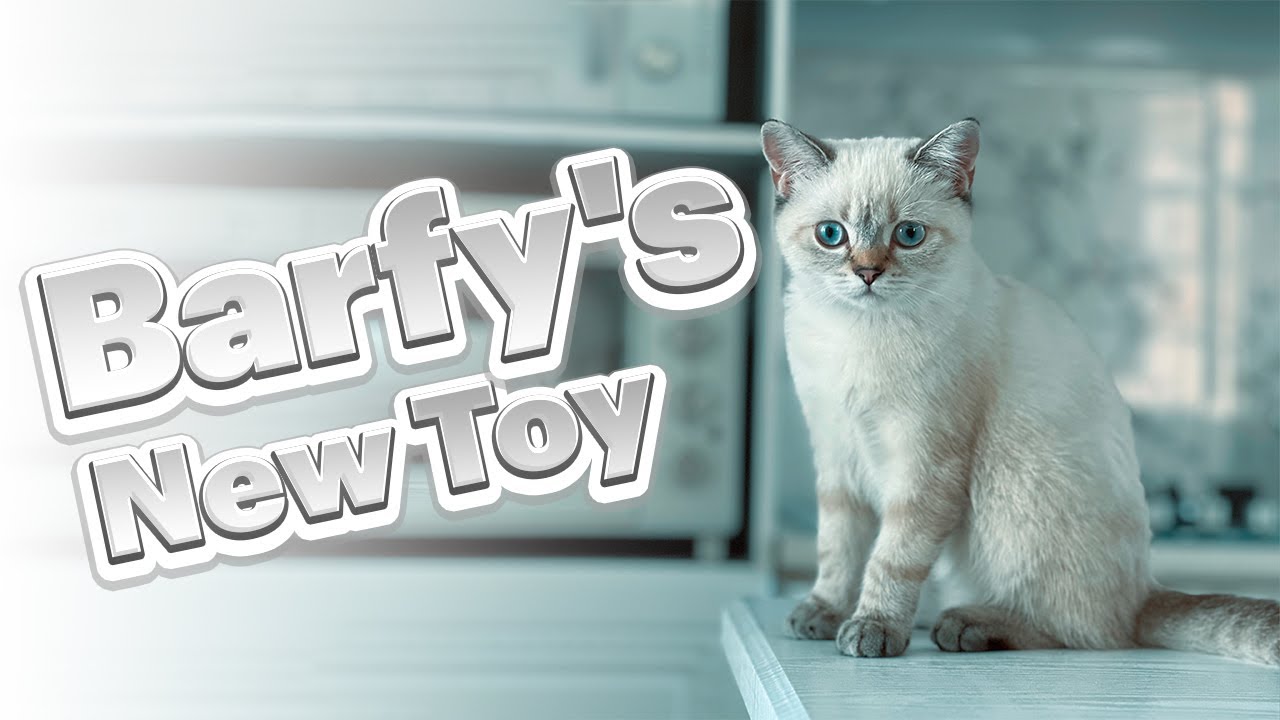 Barfy's New Toy - YouTube