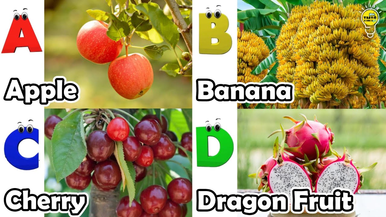 Fruits Alphabet song for Children | Fruit ABC Song | Phonics for Kids ...