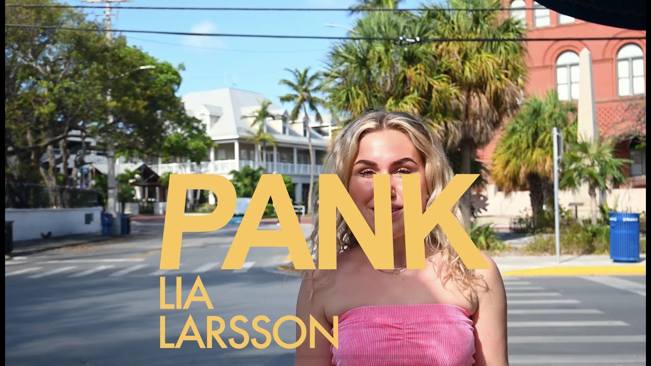 Lia Larsson Pank Official Music Video Youtube