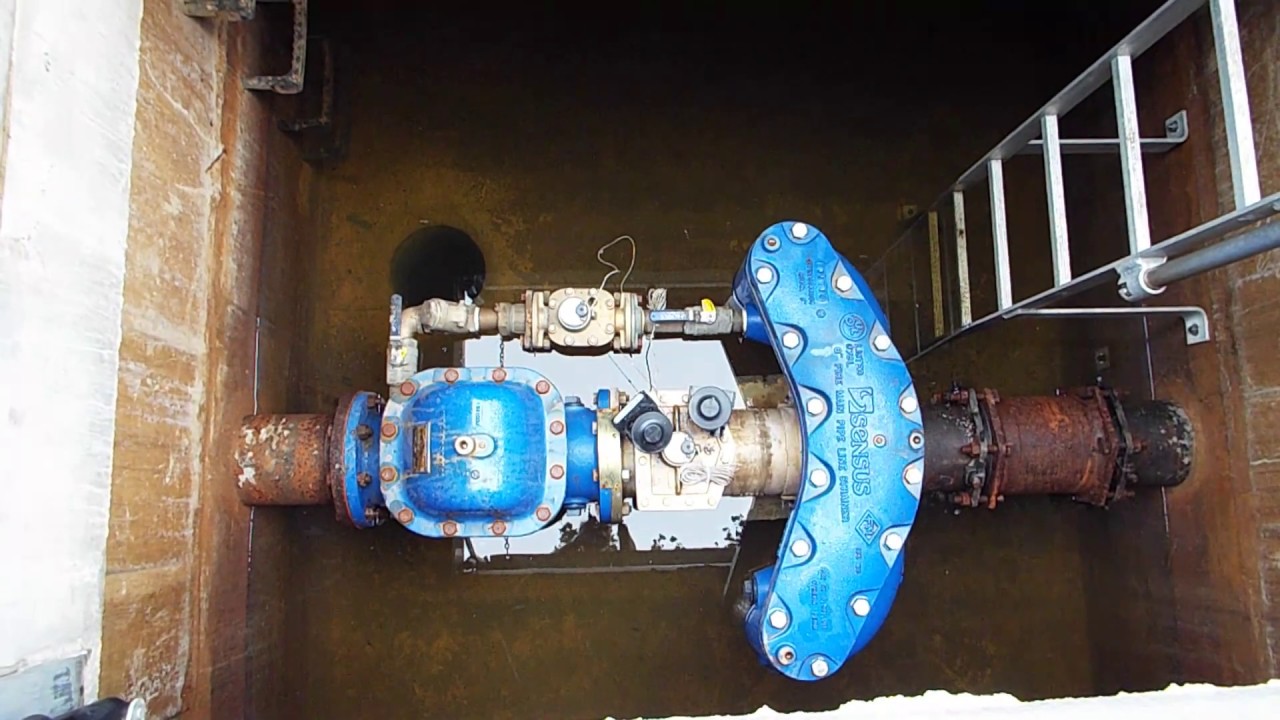 Sensus Fireline 8 Inch Cold Water Meter with a 2 Inch By-Pass Domestic ...
