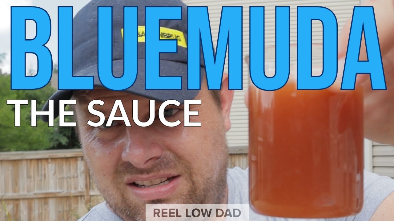 Fertilizer Program for Establishing New Grass // Bluemuda Lawn Grow-in ...