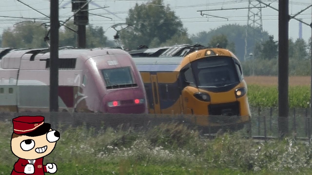 ICNG treft THALYS op de HOGESNELHEIDSLIJN / HSL! - YouTube