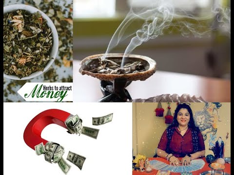 money herbs to attract wealth - YouTube