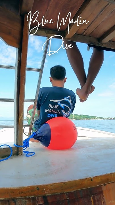 Blue Marlin Dive #shorts #giliair - YouTube