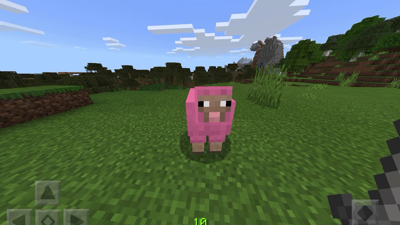 I found a pink sheep in Minecraft! - YouTube
