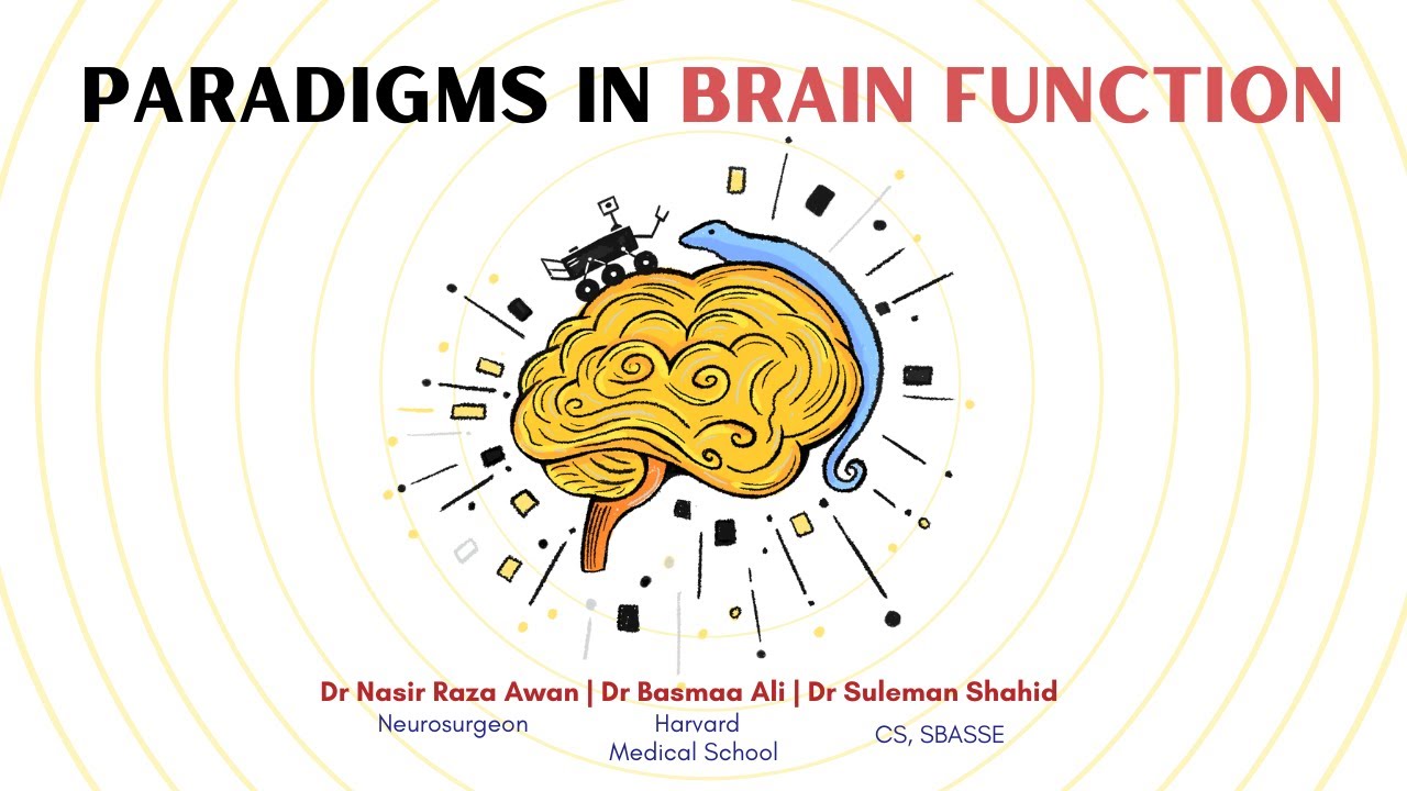 Paradigms in Brain Function | A 300 level course cross-listed with CS ...