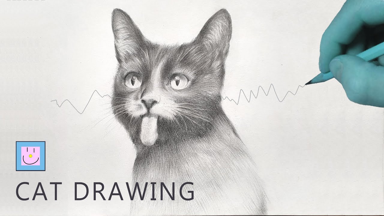 HOW TO DRAW CAT. Funny drawing cat. Lol cat Pupidupi - YouTube