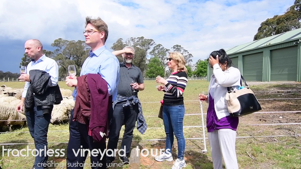 Tractorless Vineyard tour and tasting preview - YouTube