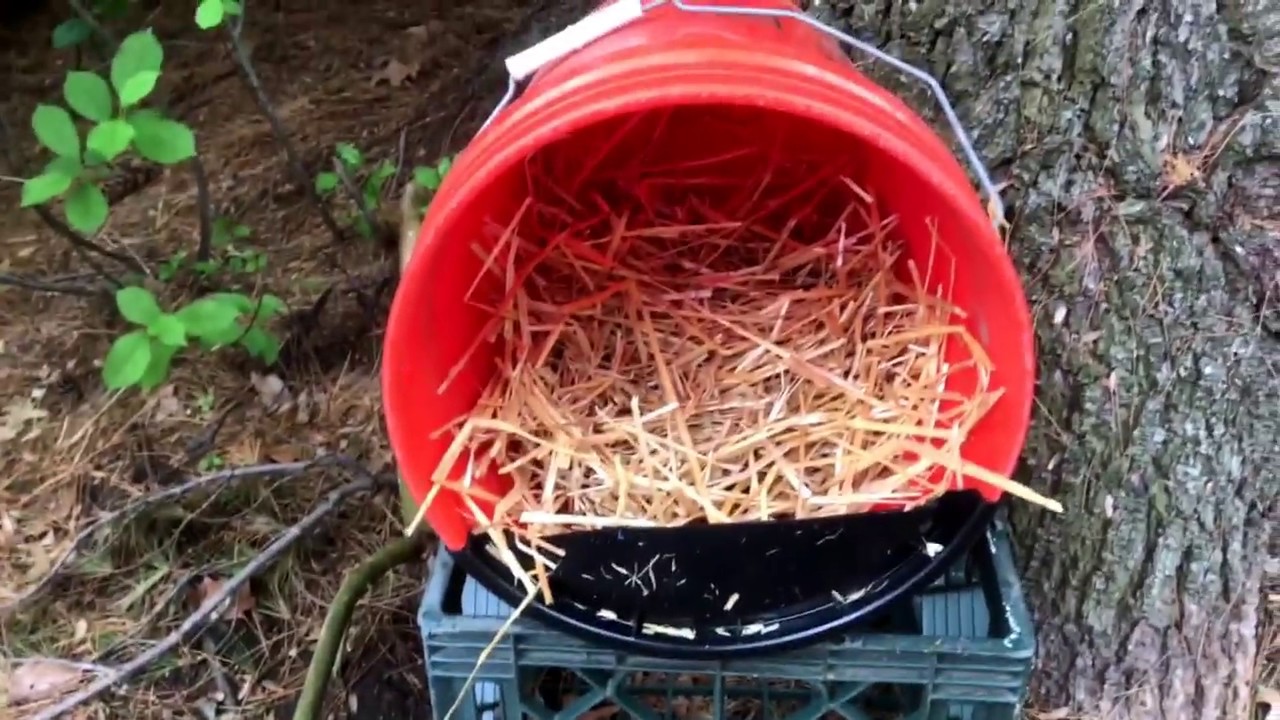 How To Make A Chicken Nesting Box Using A 5 Gallon Bucket YouTube how-to-make-a-chicken-nesting-box-using-a-5-gallon-bucket-youtube