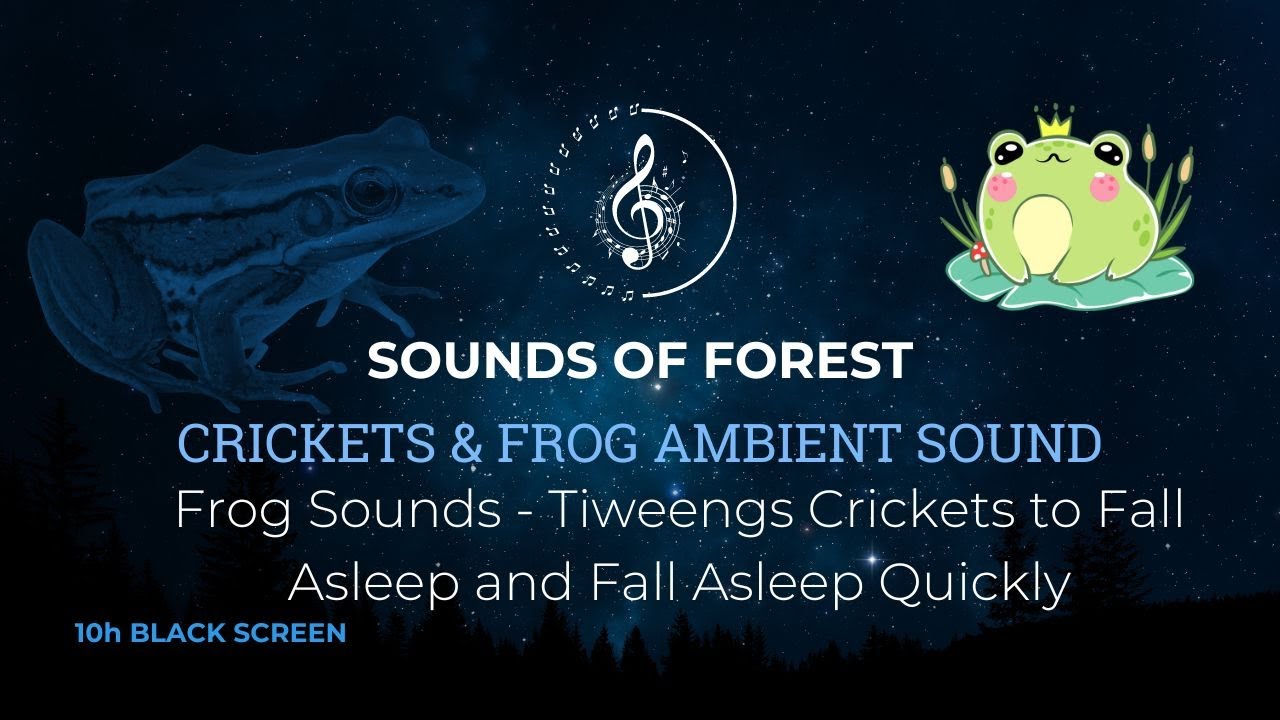 Frog and Cricket Sounds for Sleep🐸 : Fall Asleep Fast with Nature's ...