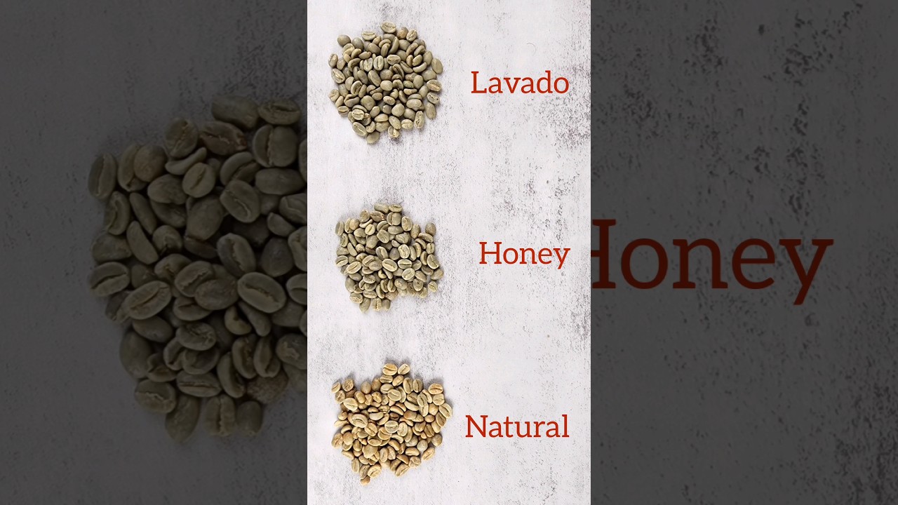 Lavado, Honey y Natural. sabes cual es la diferencia? #café # ...