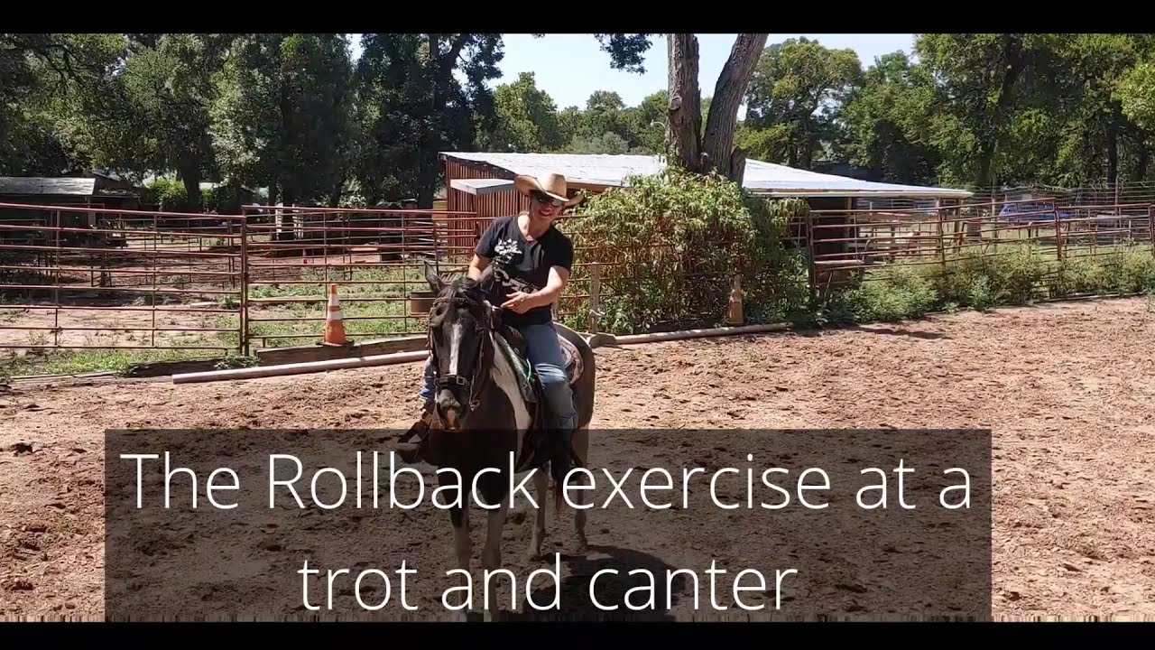 Rollback riding Exercise - Stop, Back and Rollback - YouTube
