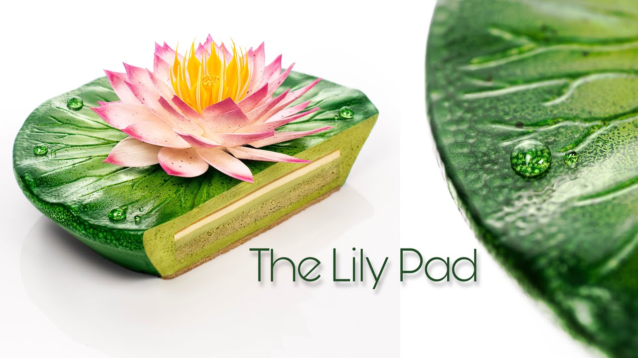 The Lily Pad! - YouTube