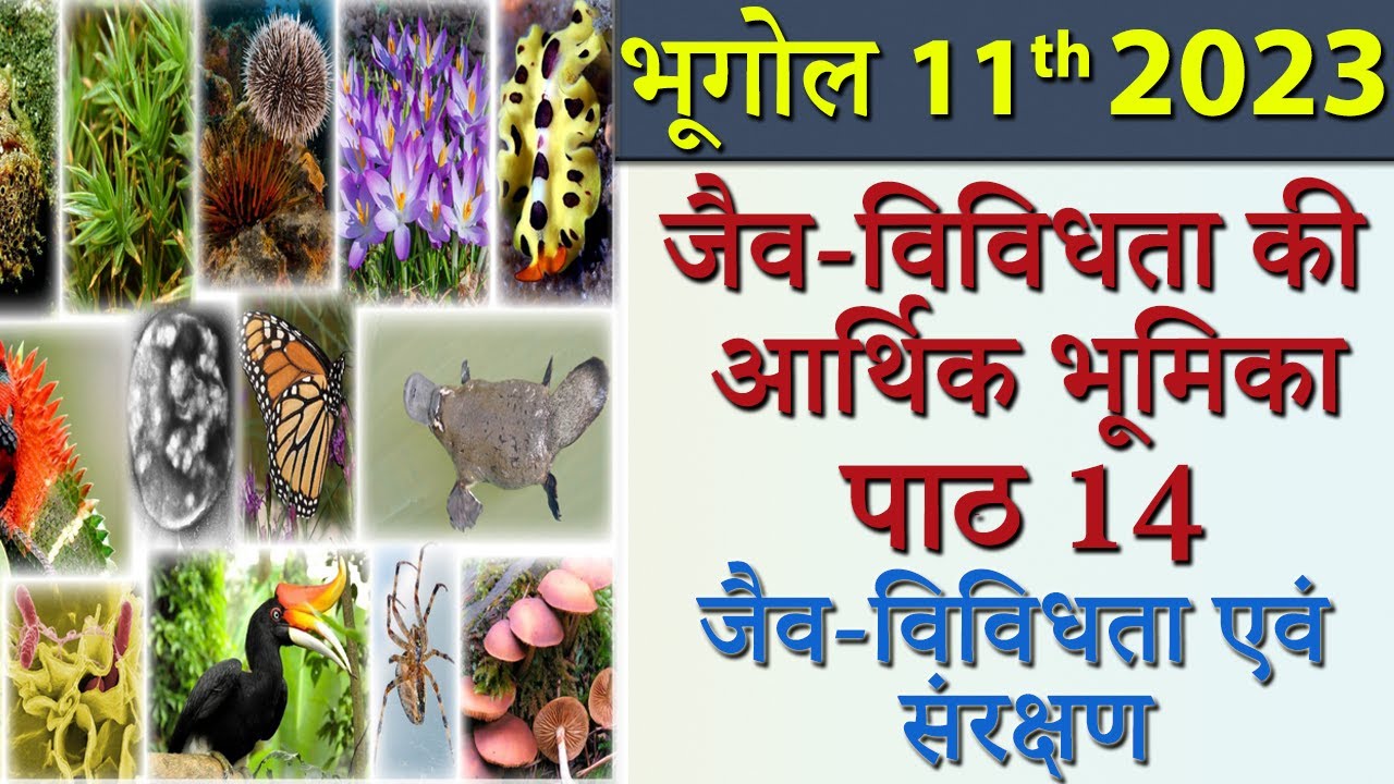 जैव-विविधता की, Chapter 14 जैव-विविधता एवं संरक्षण, Bhugol, Samajik ...