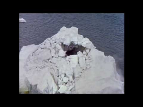 Godzilla First Roar (1962)