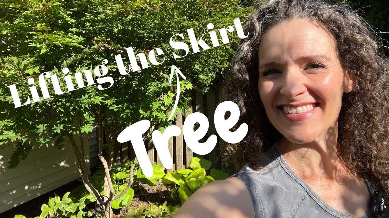Limbing Up My North Wind Maple 🍁 ️ | Here She Grows - YouTube