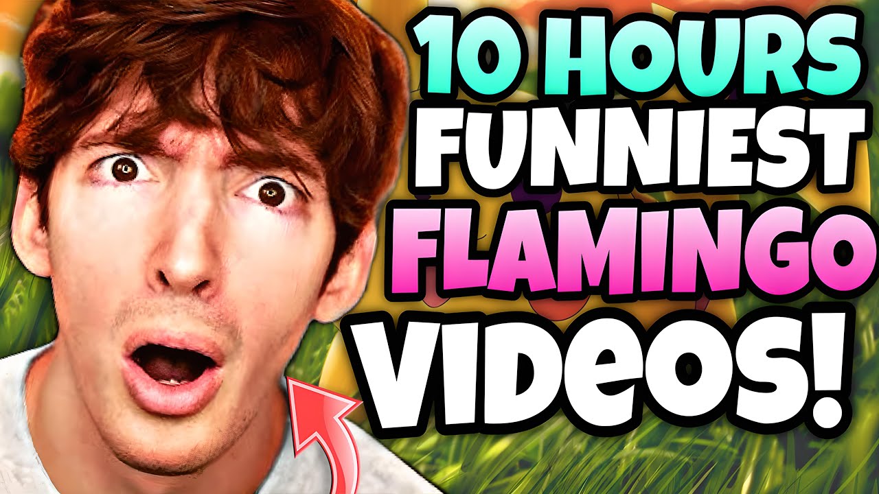 🌟10 HOURS🌟 Of Flamingo Roblox - Funniest Videos (Flamingo Marathon ...