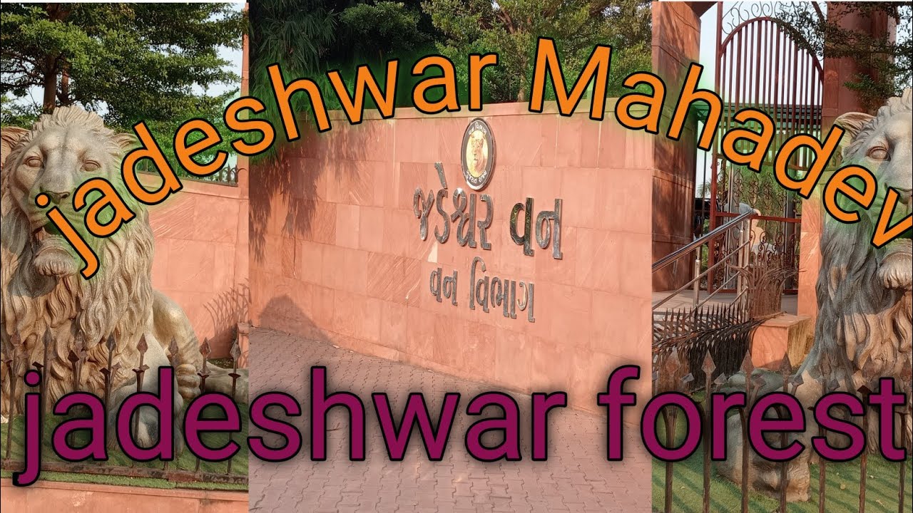 jadeshwar van vastral Ahmedabad #gujarativlogs @popat Bhai Ahir vlog ...