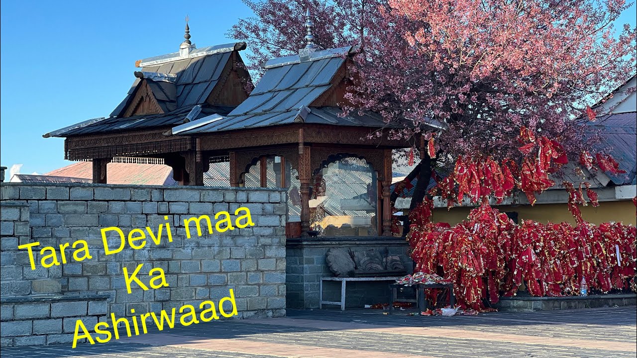 Tara Devi maa ka Ashirwaad🙏🏻 #vlog47 #taradevi #shimla #vlog - YouTube