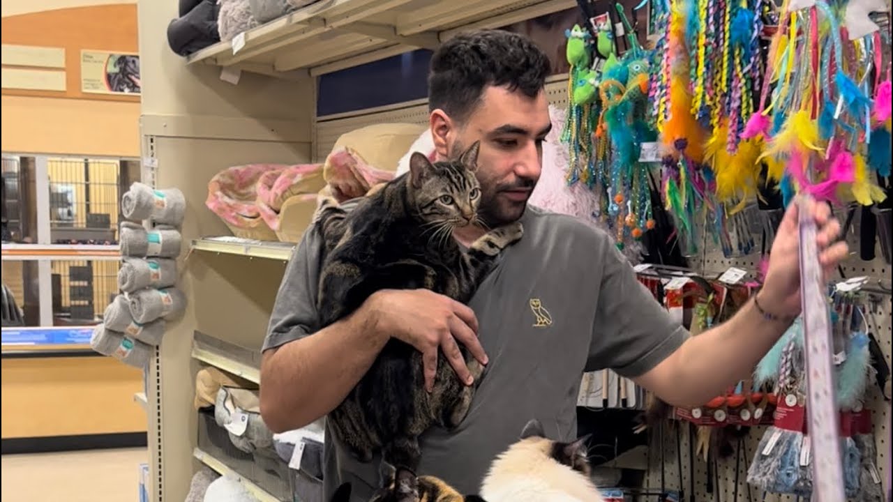 MOST VIRAL CAT DADDY COMPILATION (PART 3) - YouTube