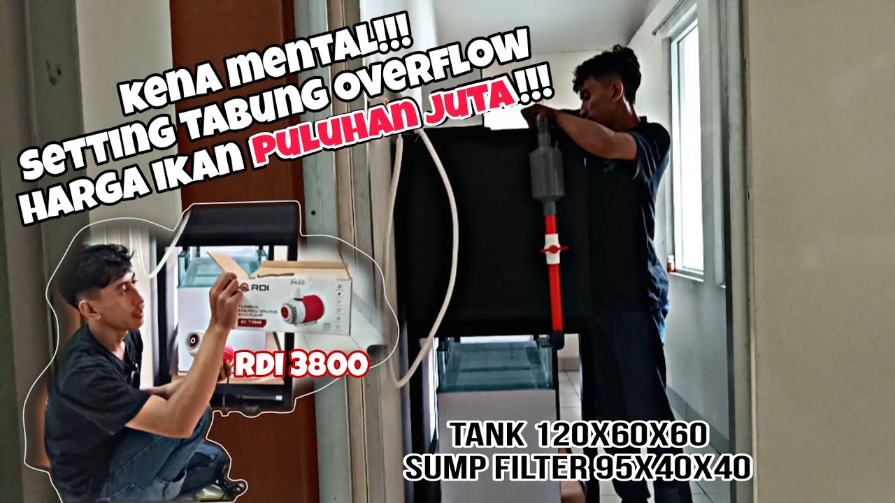Meledak! Instal dan setting tabung overflow upgrade Sistem filtrasi ...