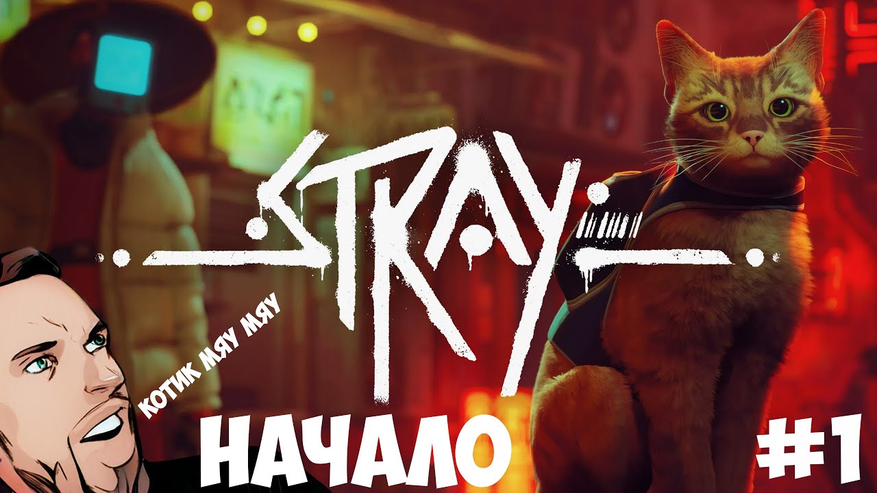 STRAY#1 - YouTube