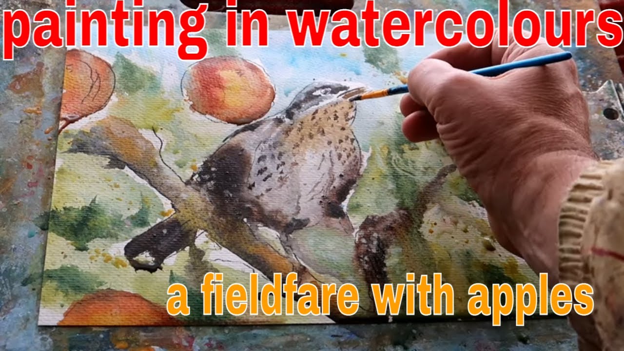 painting in watercolours, a fieldfare amongst 🍎 apples - YouTube