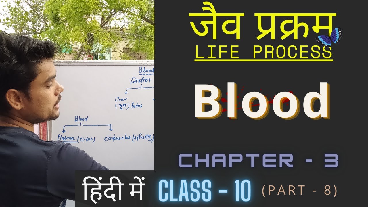 Blood - रक्त | (Plasma, Serum, RBC, WBC & Platelet) | Class 10 ...