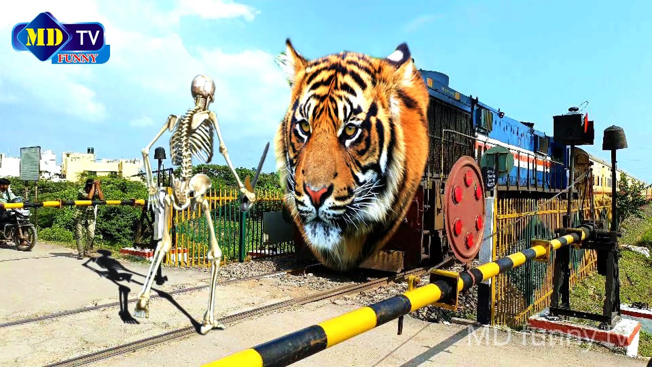 funny tiger train - funny comedy train video - funny face train video ...