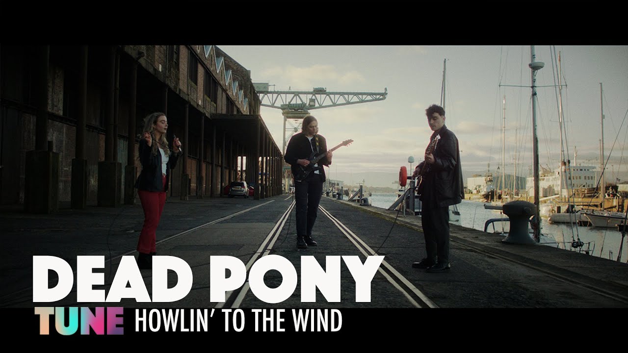 Dead Pony Perform Sharp Tongues Live | TUNE - Howlin' To The Wind | BBC ...