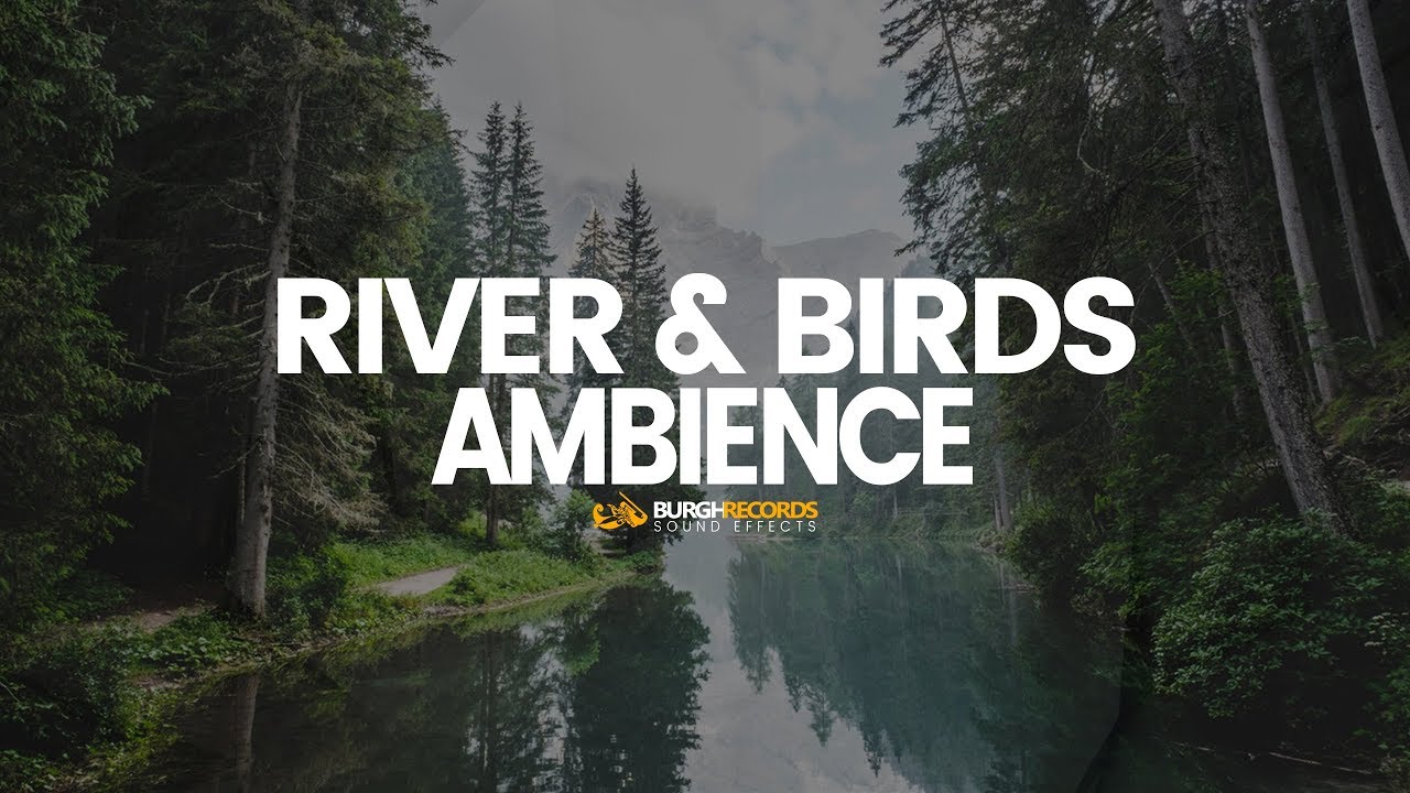 Nature Sound Effects Birds & Water Sounds (Free Download) - YouTube