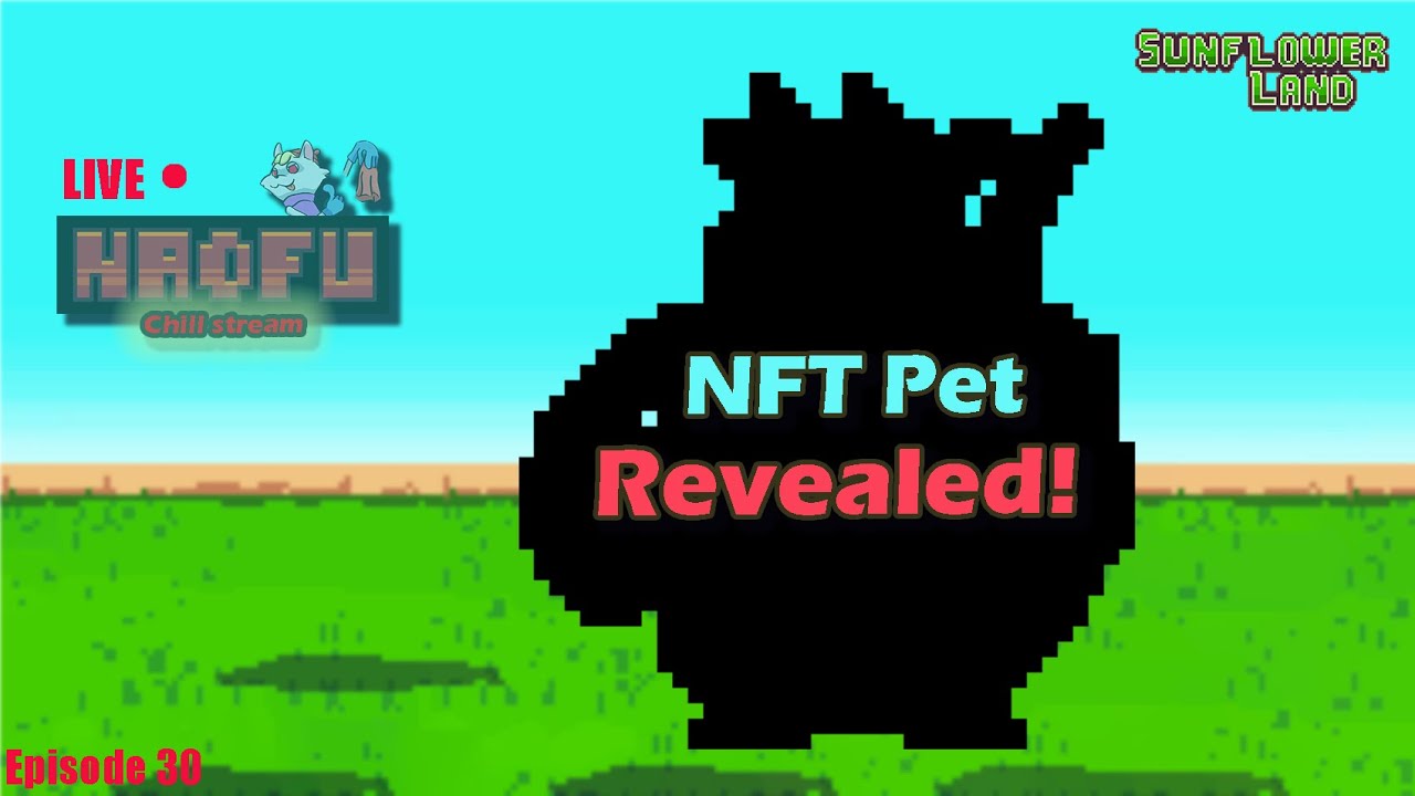 Live: The Wait Is Over… NFT PET REVEALED! - YouTube