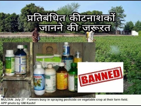 Banned pesticides/ प्रतिबंध कीटनाशकों/banned kitnashak - YouTube