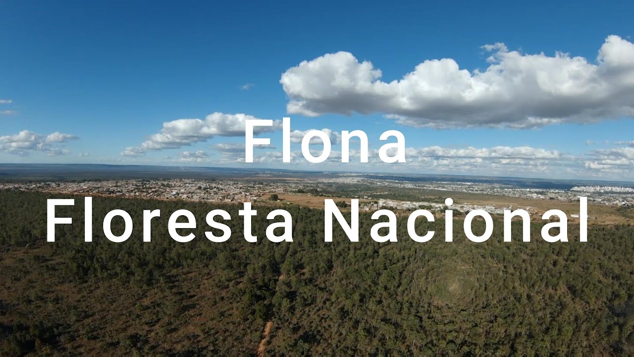 Flona - YouTube